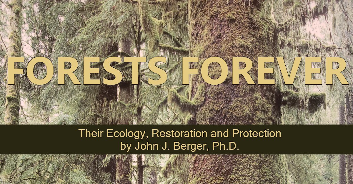 Forests Forever Book