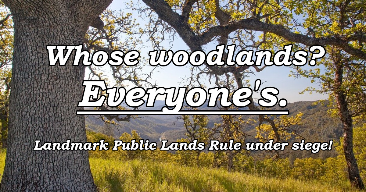 Defend game-changing Public Lands Rule
